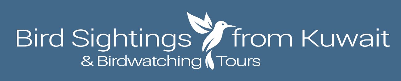 About Me | Birds of Kuwait | Bird Sightings from Kuwait