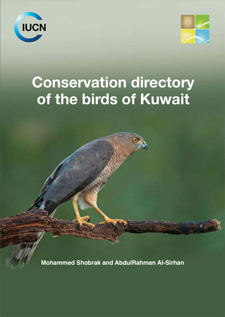 Birds of Kuwait | Bird Sightings from Kuwait – Bird of Kuwait Sightings ...