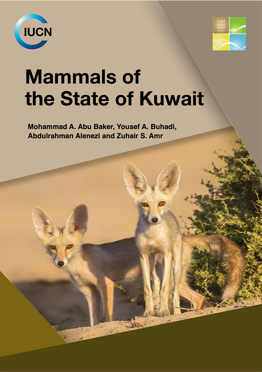 Birds of Kuwait | Bird Sightings from Kuwait – Bird of Kuwait Sightings ...