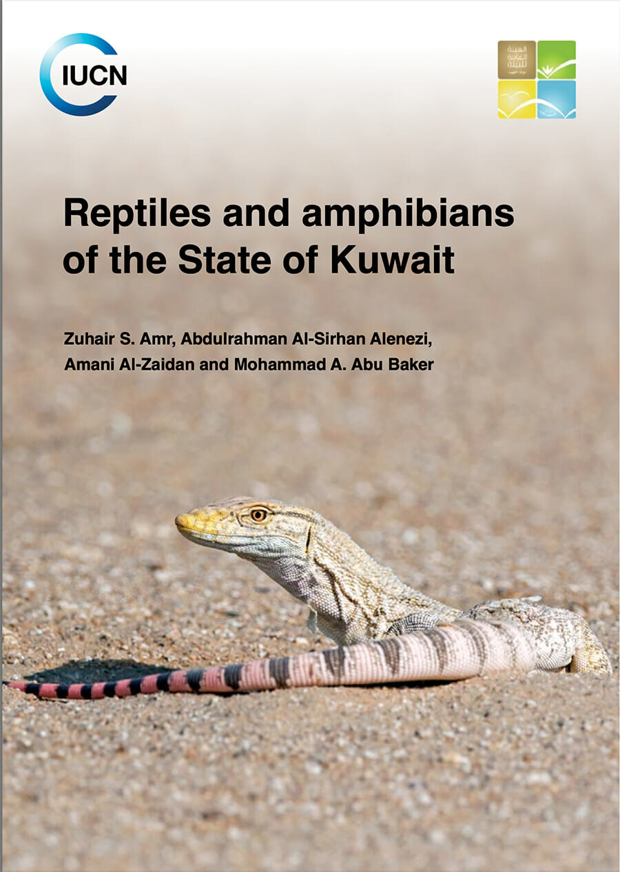 Birds of Kuwait | Bird Sightings from Kuwait – Bird of Kuwait Sightings ...