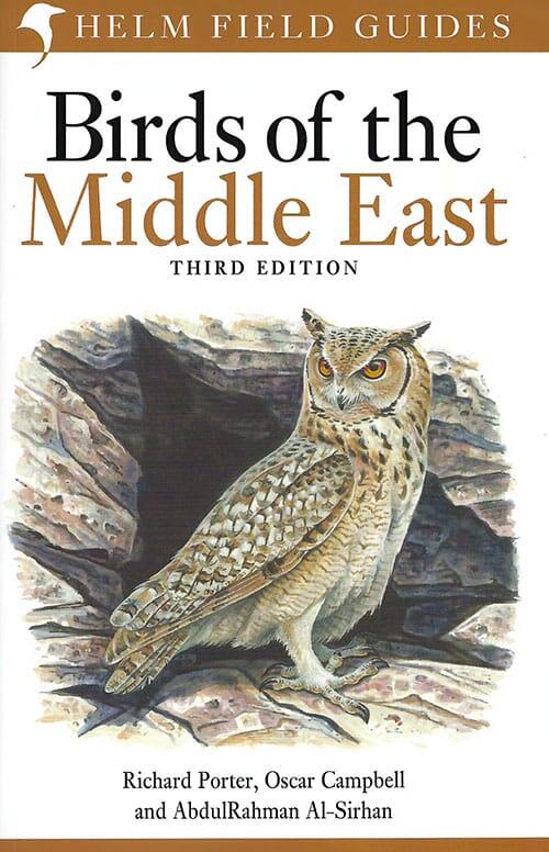 Birds of Kuwait | Bird Sightings from Kuwait – Bird of Kuwait Sightings ...